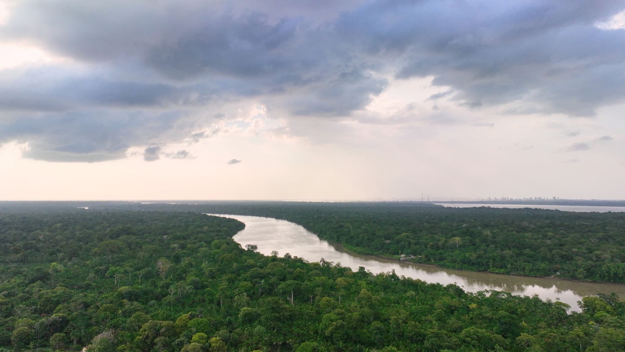 Klimakonferenz: Deutschland zahlt eine Milliarde Euro zum Schutz des ...