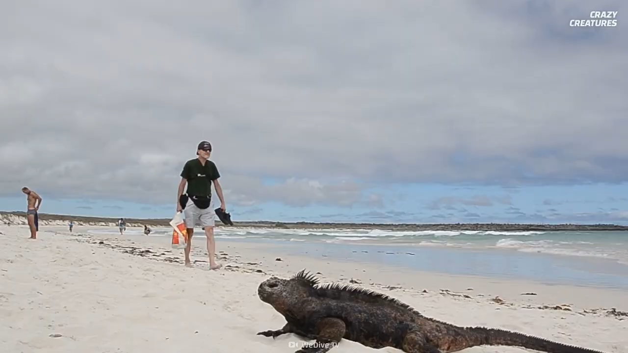 The colossal predator that once ruled like a real-life Godzilla