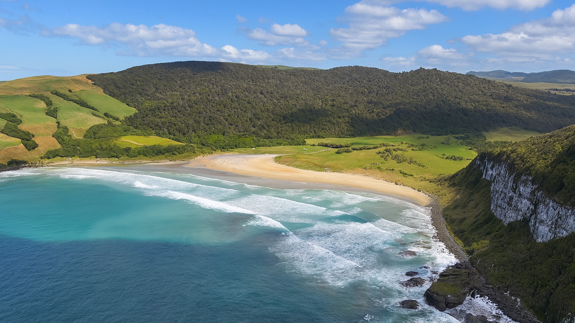 Waar het bos de zee ontmoet: de kust van Nieuw-Zeeland