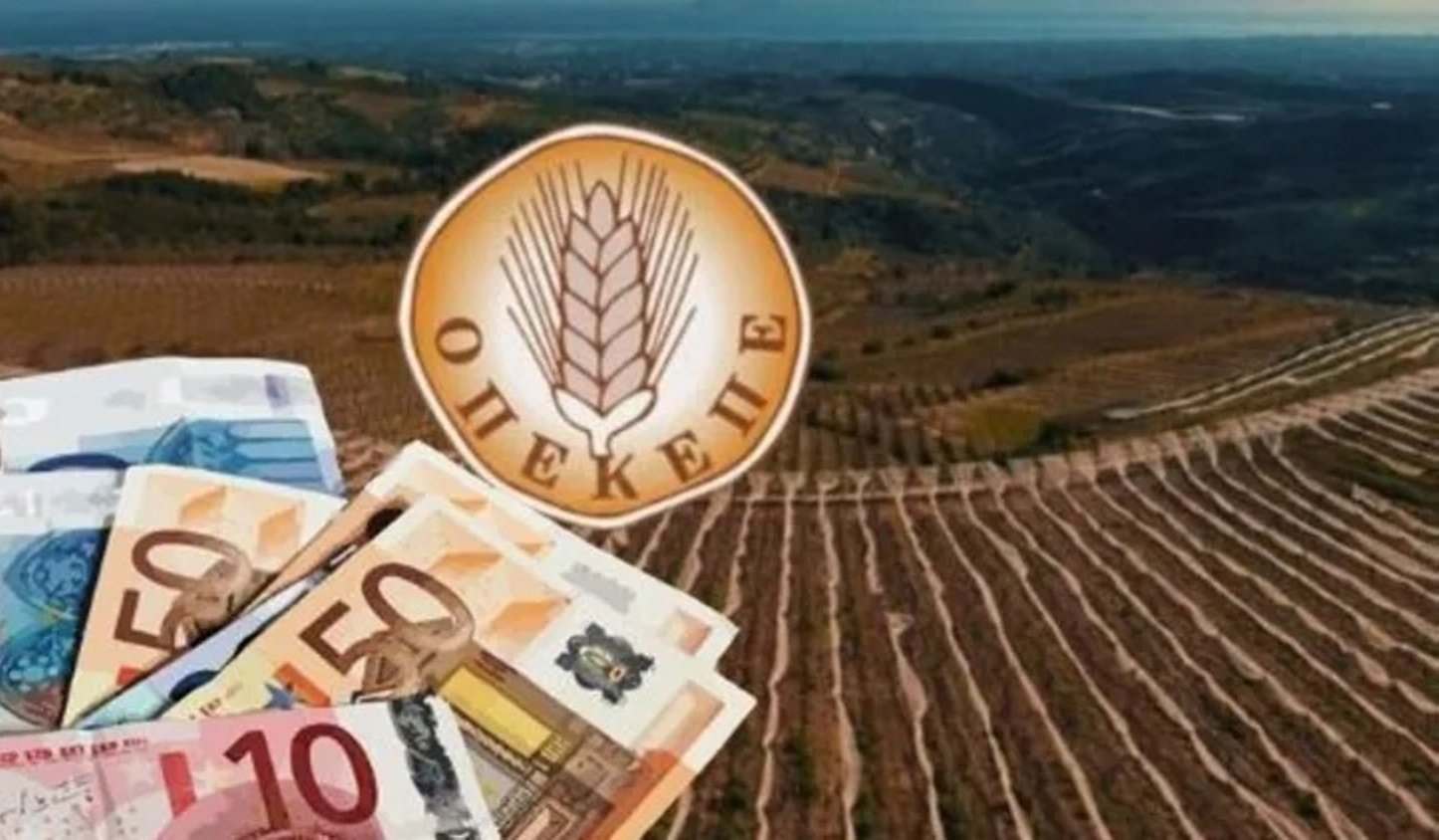 Εξεταστική ΟΠΕΚΕΠΕ: Το δικαιώμα της «σιωπής» επικαλείται ο «φραπές ...