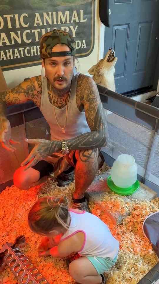 Welcoming a fresh batch of baby chickens to the farm