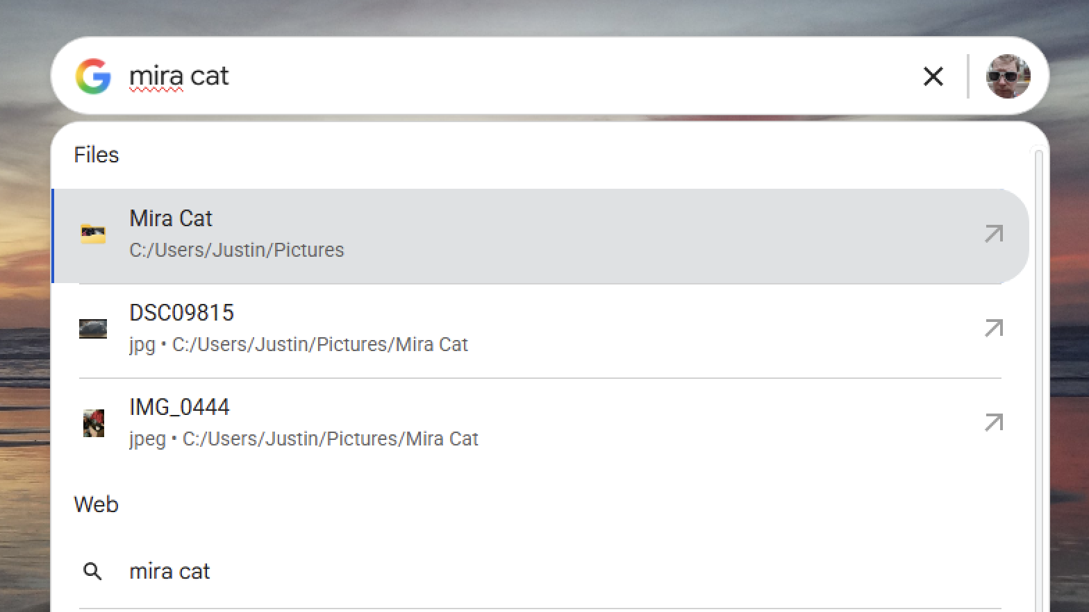 Google's Desktop Search App Is Back (Kind Of)