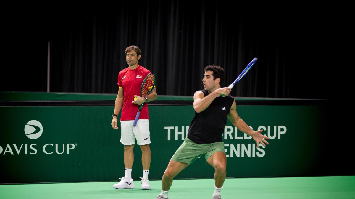 David Ferrer confirma su elección para enfrentarse a Chequia