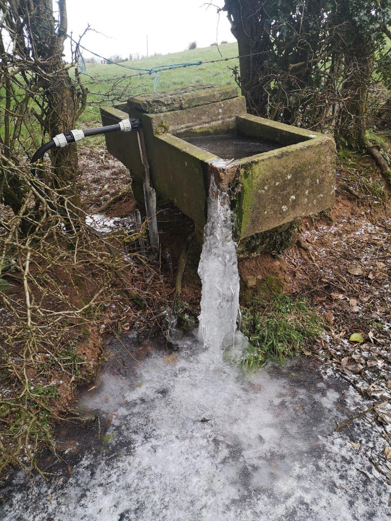 Keep your water flowing and your cows mooing this winter