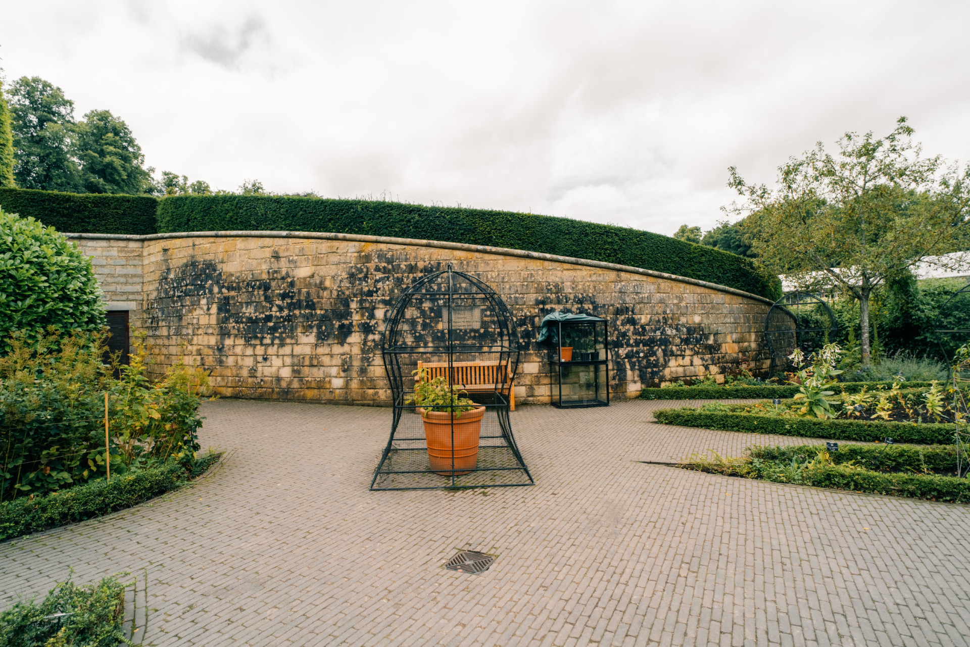 Inside the world's deadliest garden