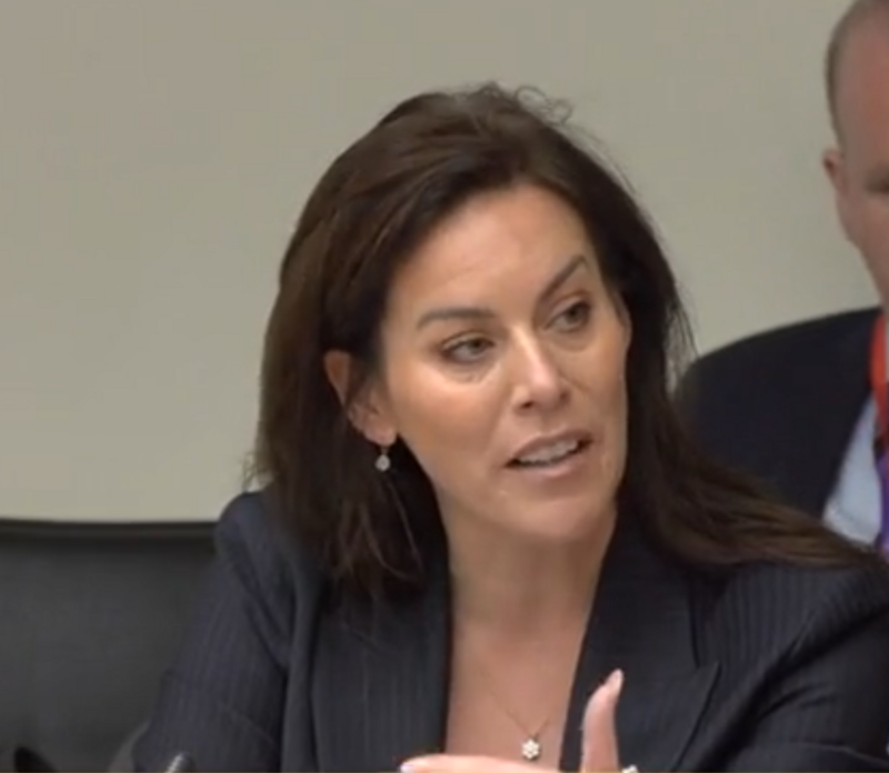 'I'm not just a health minister but a parent': Carroll MacNeill shares ...