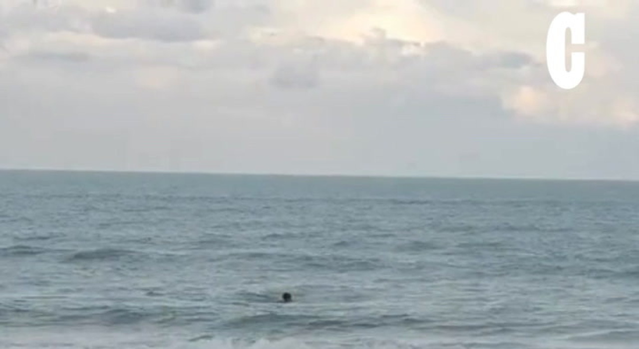 Mare d'inverno, a Pesaro c'è chi sfida il freddo. Il video