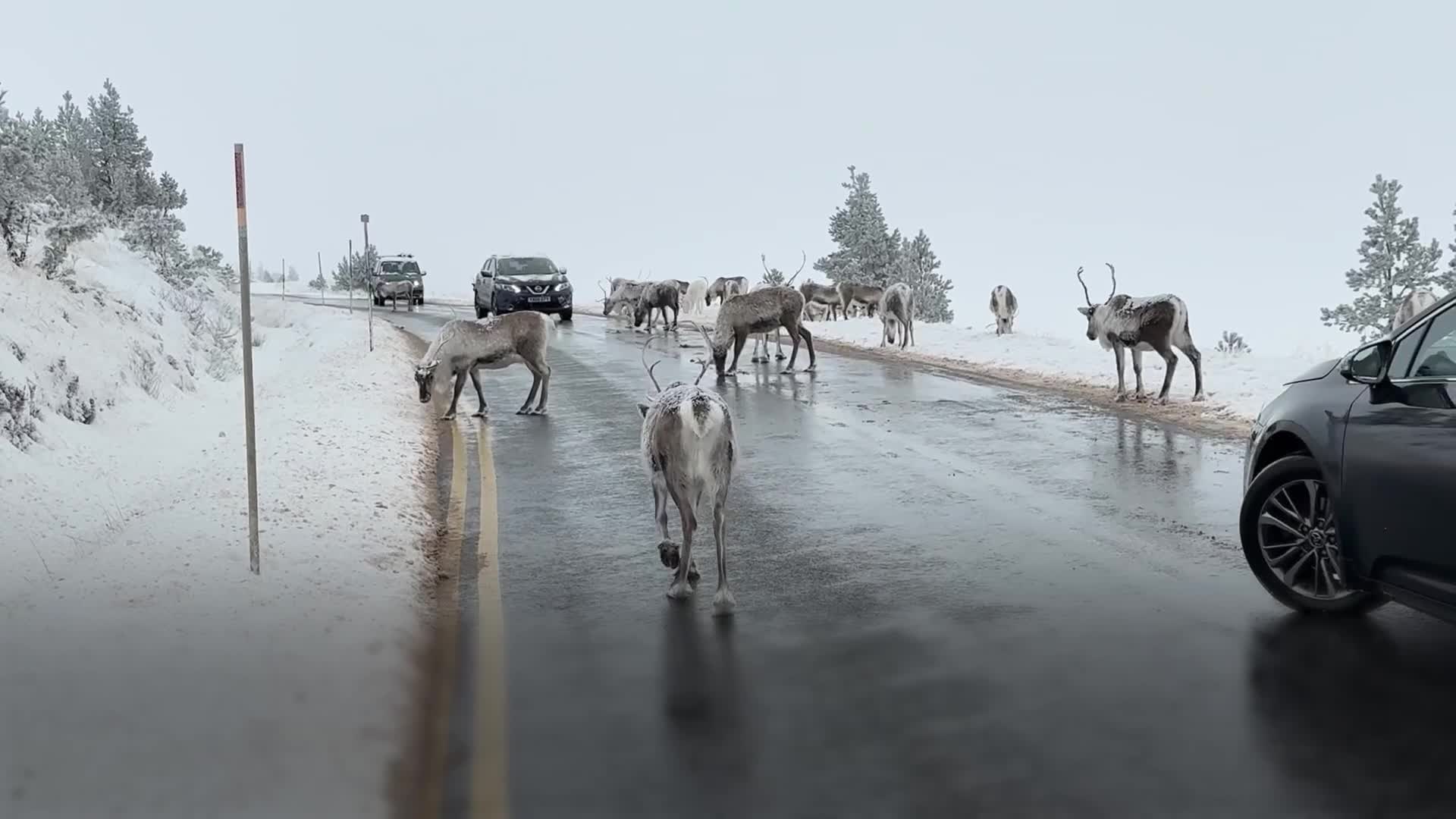 Sleet and snow showers batter UK coasts overnight