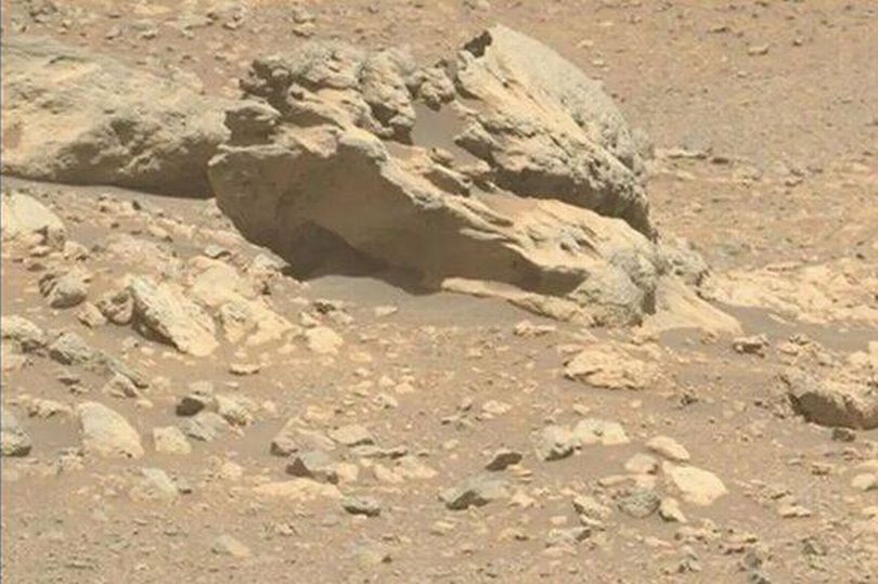 NASA rover discovers mysterious iron-nickel meteorite on Mars with ...