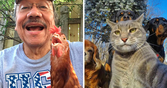 50 Funny And Wholesome Animal “Selfies” That Are So Good, They Could Be ...