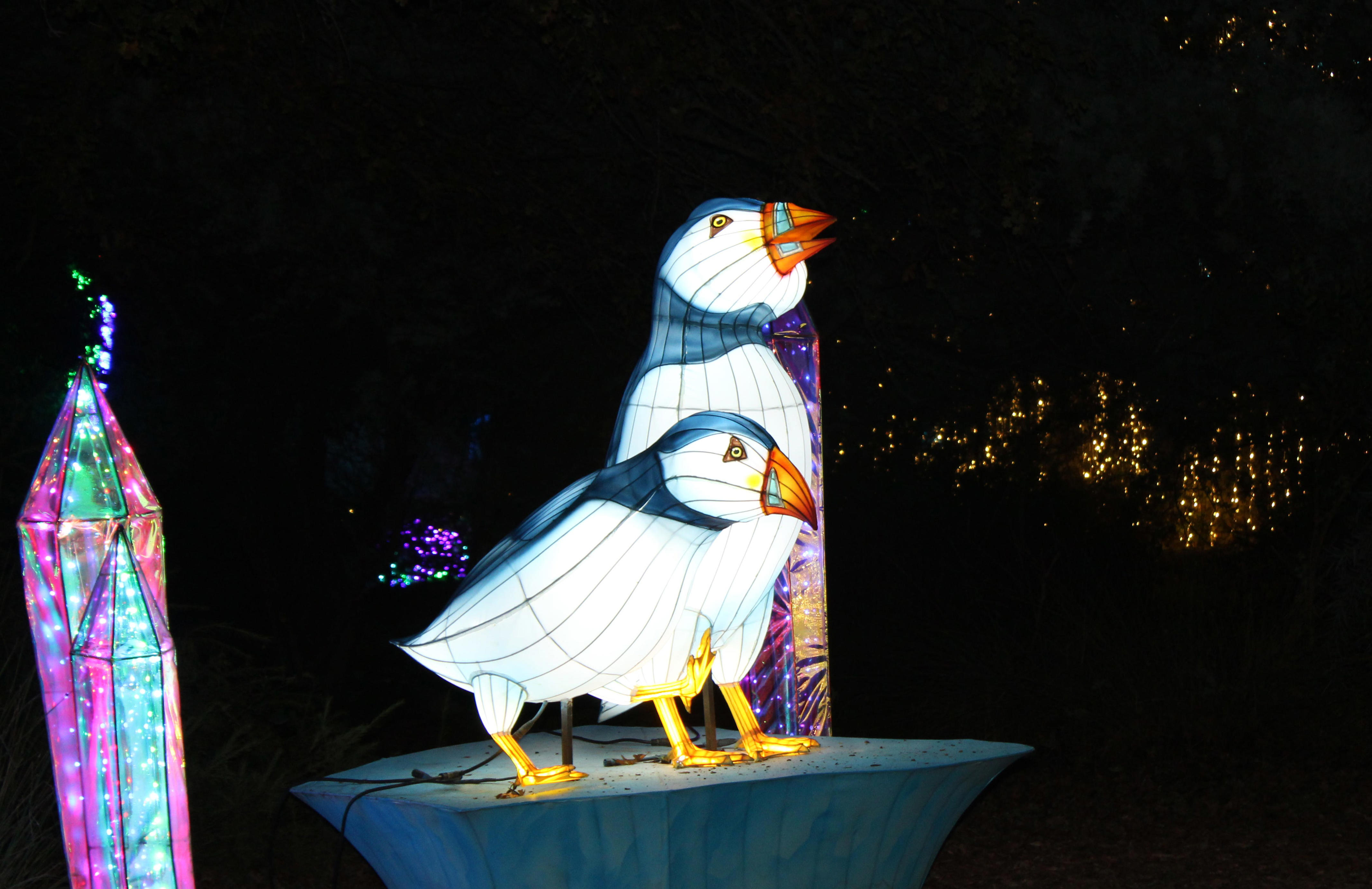 Where Redding Garden of Lights placed in best U.S. holiday shows