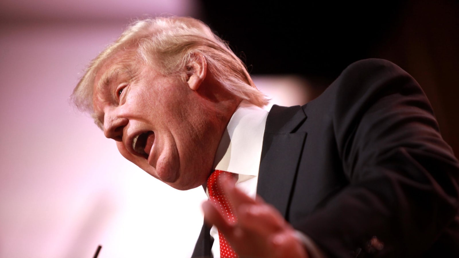 Top Reasons Why Donald Trump Called Jennifer Jacobs 'Quiet, Piggy' Unveiled