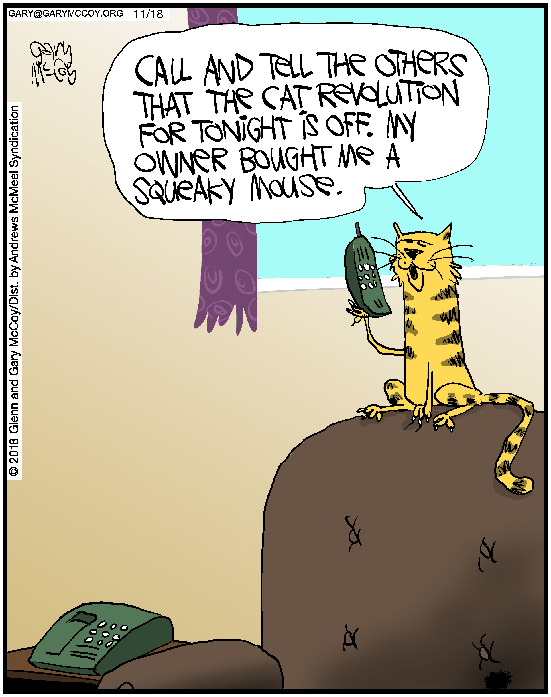 The Flying McCoys by Glenn and Gary McCoy