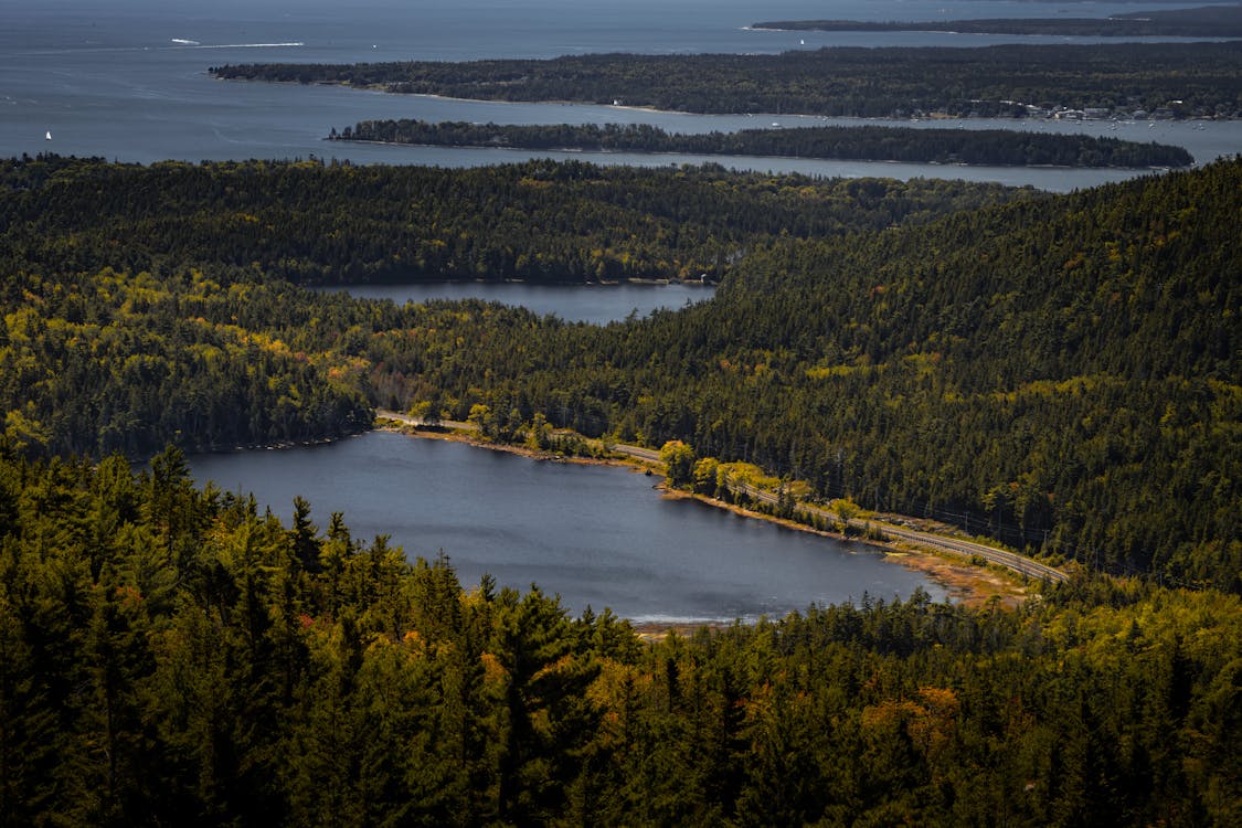 6 Areas in Maine Where Moose Hunting Is Still a Tradition