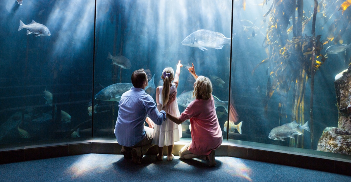15 indoor attractions across Tennessee that make a fun stop between drives