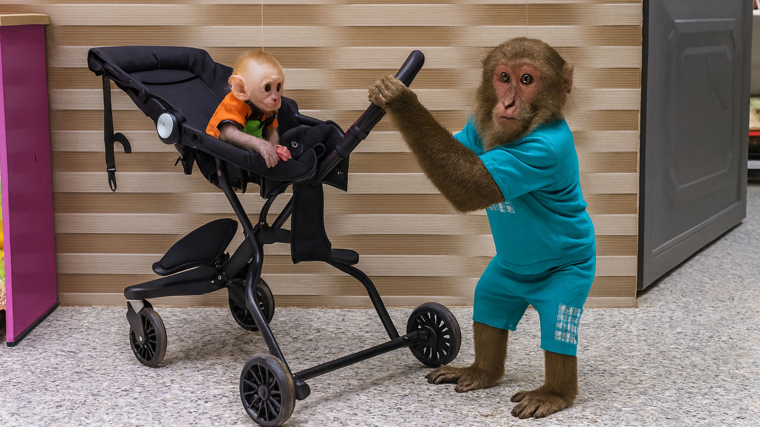 Cutis Gets Caught Playing With Baby’s Toys