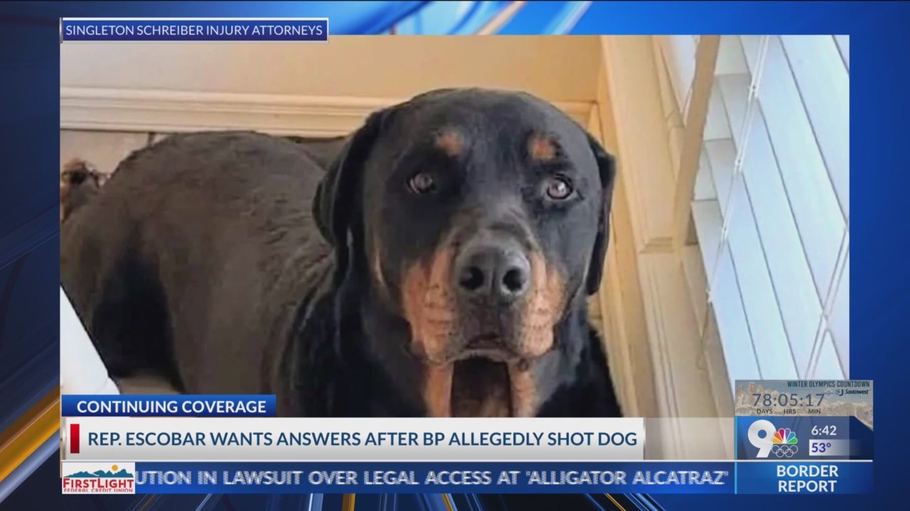 Rep. Escobar wants answers after BP shot dog