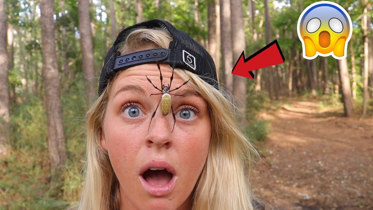Giant spider found on her face