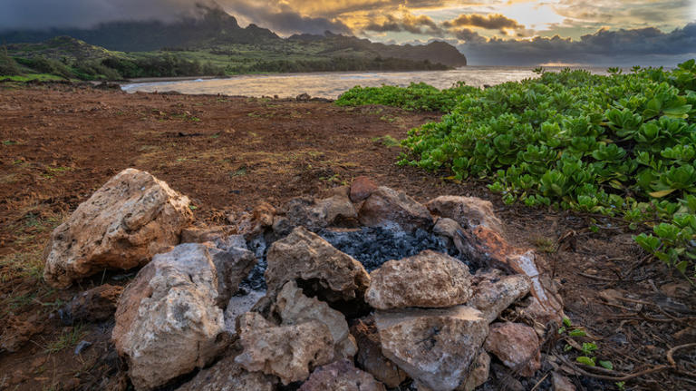 The US State Where You Are Least Likely To Run Into A Bear While Camping