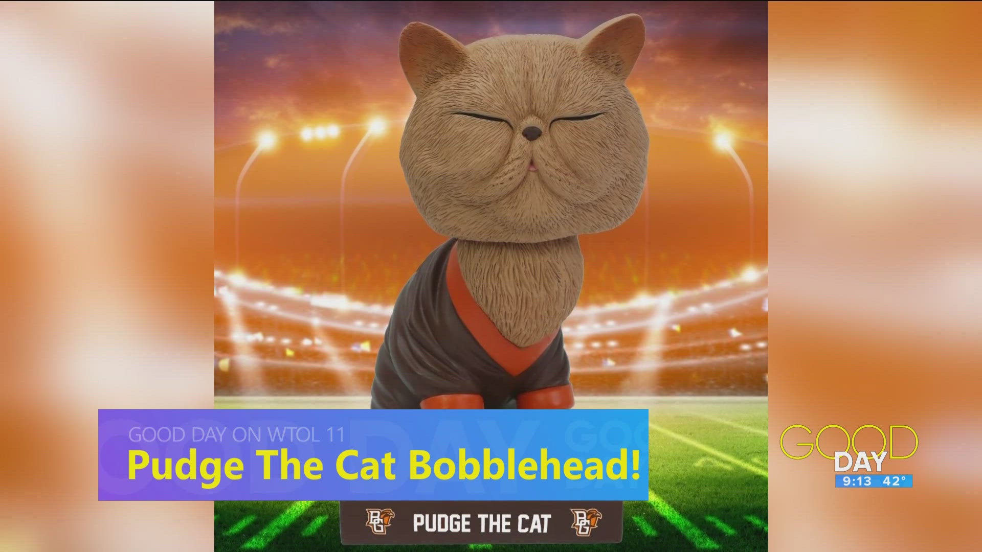 Pudge the Cat honored with his own bobblehead | Good Day on WTOL 11