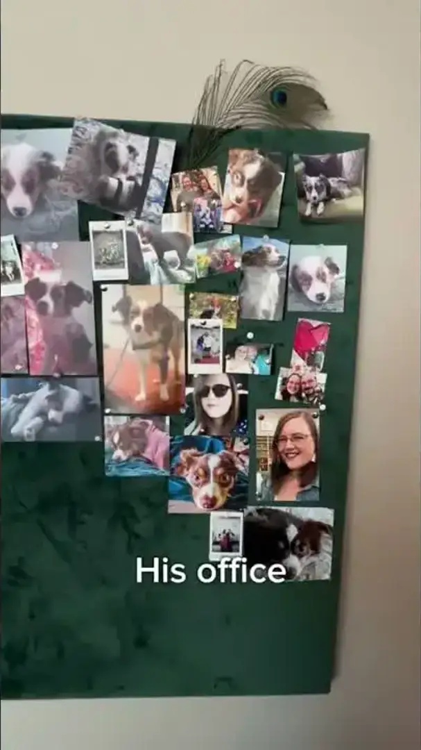 Signs he loves me: office decor & custom shirt