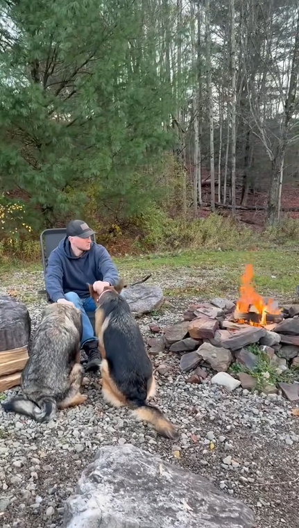 Inside a Stunning Dog-Friendly Cabin at Mokoma Lake Lodge in Pennsylvania