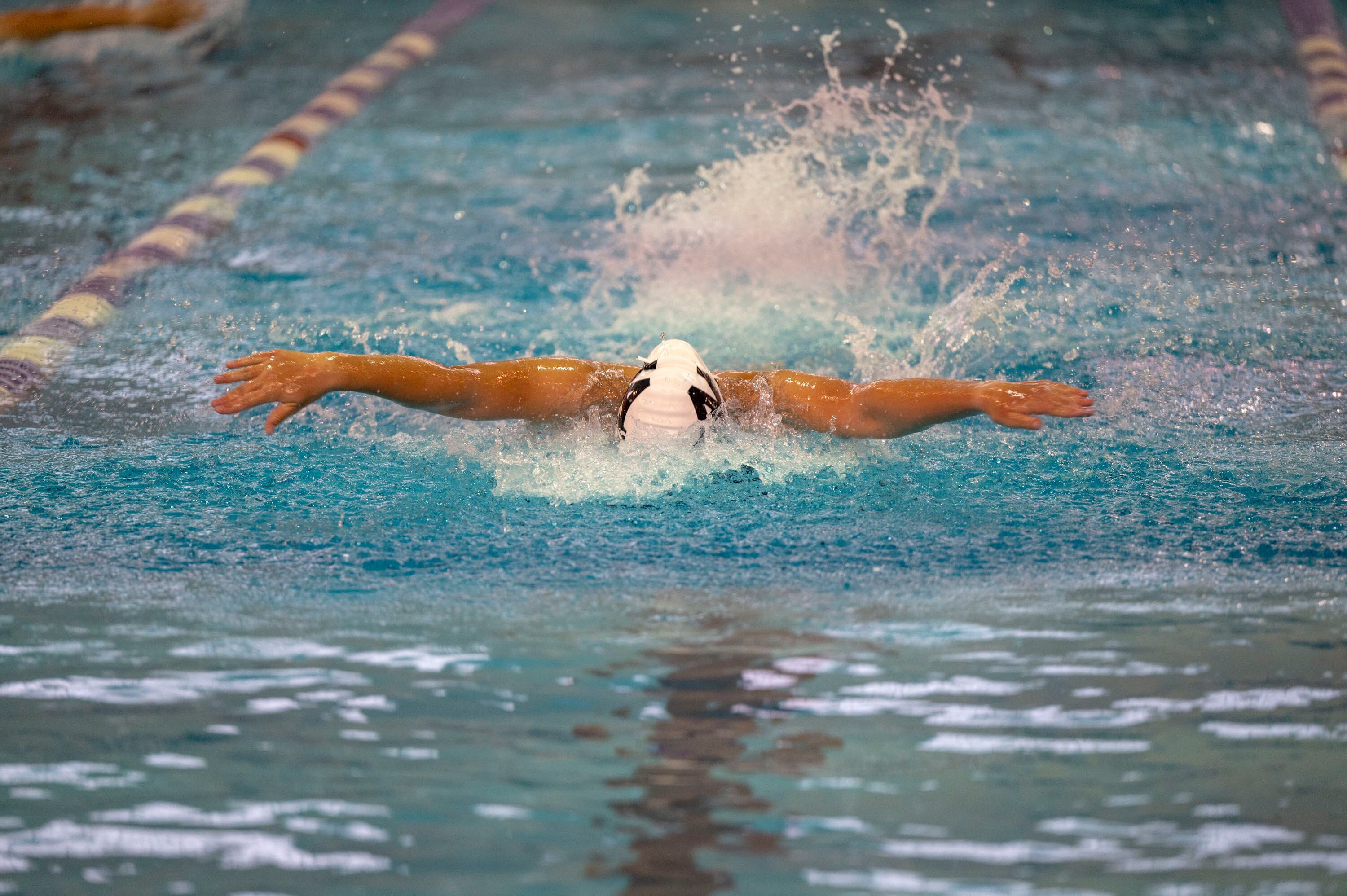 Ann Arbor-area girls swim and dive leaders entering state finals