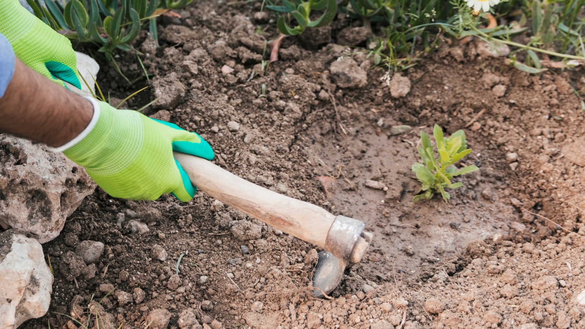 While digging in his garden, he makes a discovery that will change his ...