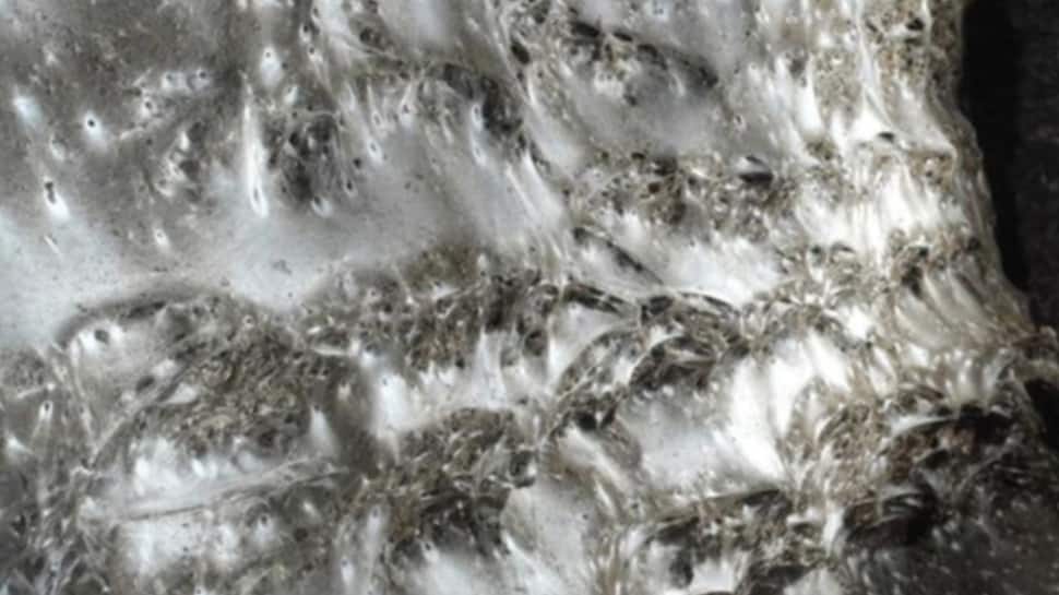 World’s Largest Spider Web: 1,11,000 Spiders In One Place, Spans Half ...