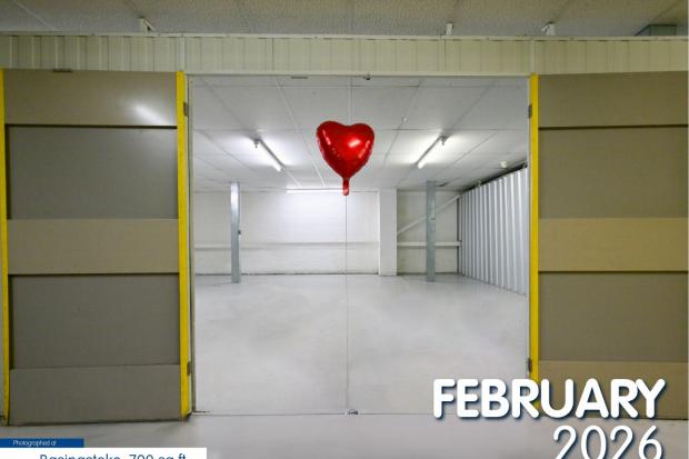 Basingstoke chosen as 'Mrs February' in the 'most boring calendar ever ...