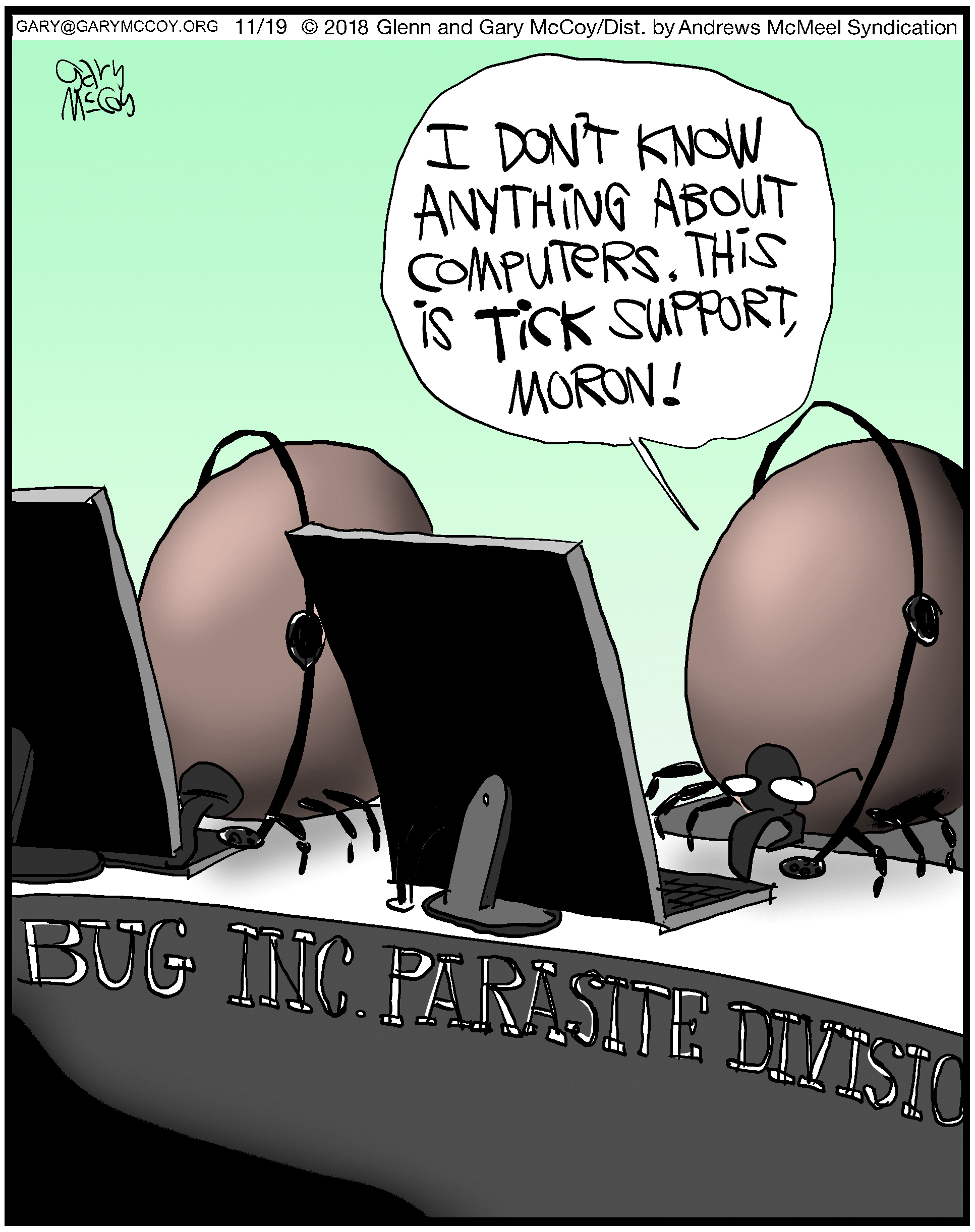 The Flying McCoys by Glenn and Gary McCoy