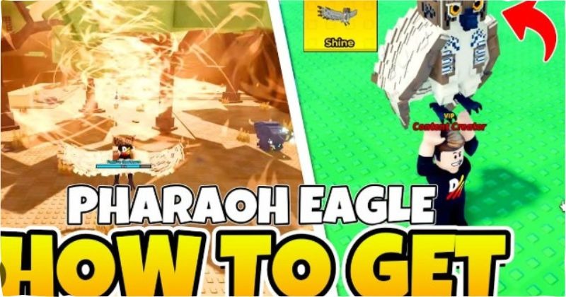 Raise Animals: How to Catch the Shine-Tier Pharaoh Eagle