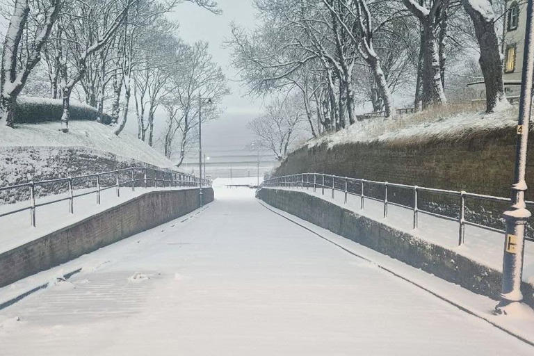 IN PICTURES: Beautiful photos of snow blanketing Scarborough and ...
