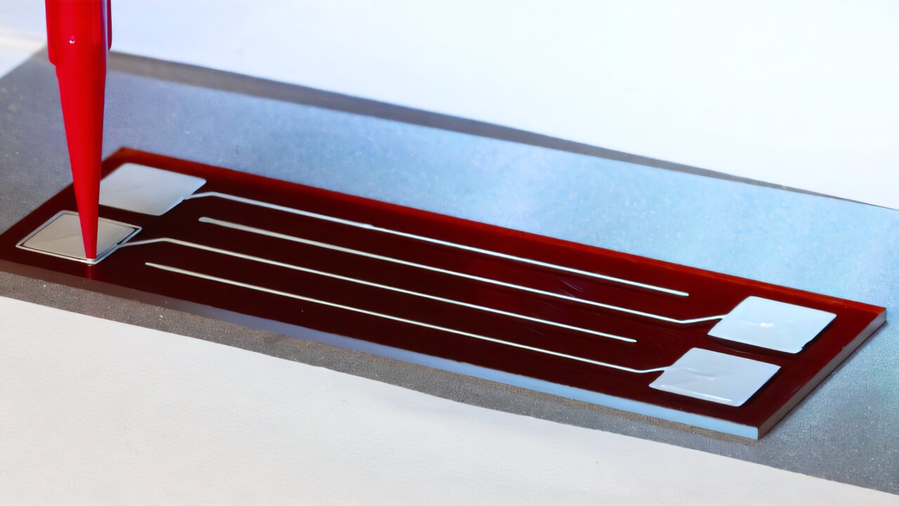 Building houses and growing tissue: Overcoming physics problems in 3D ...