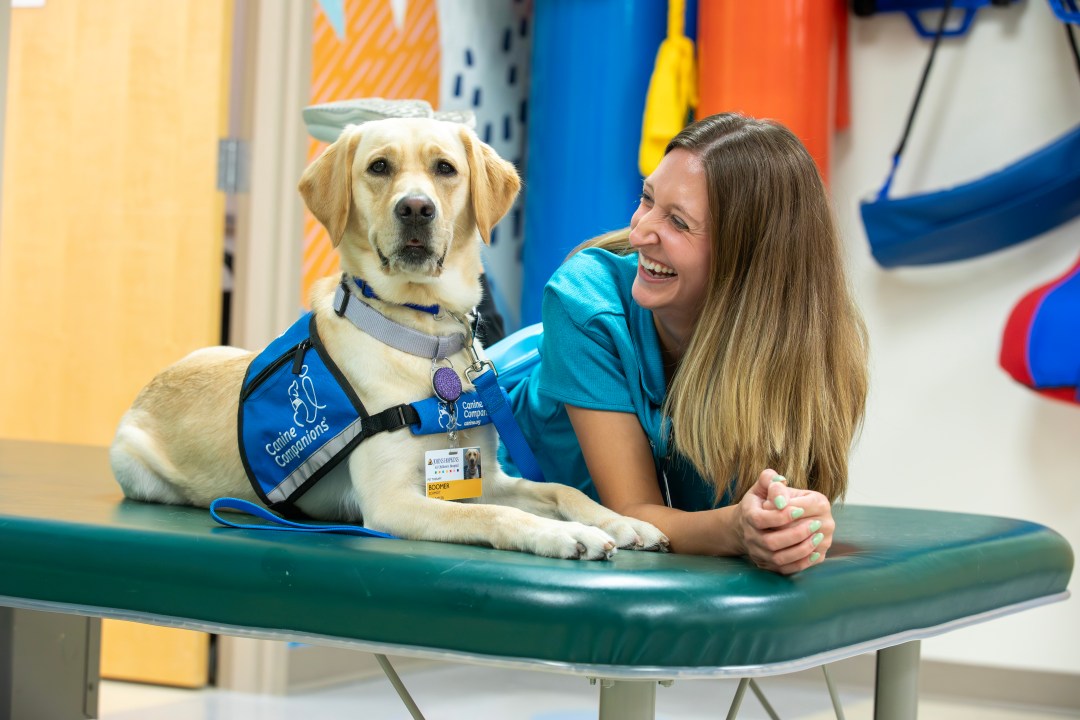 New four-legged caregiver brings comfort to Johns Hopkins All Children ...