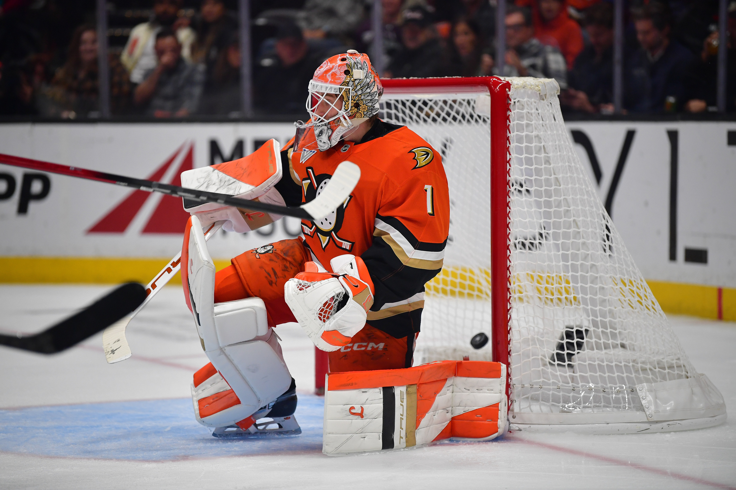 2026 Winter Olympic Roster Projections: Team Czechia