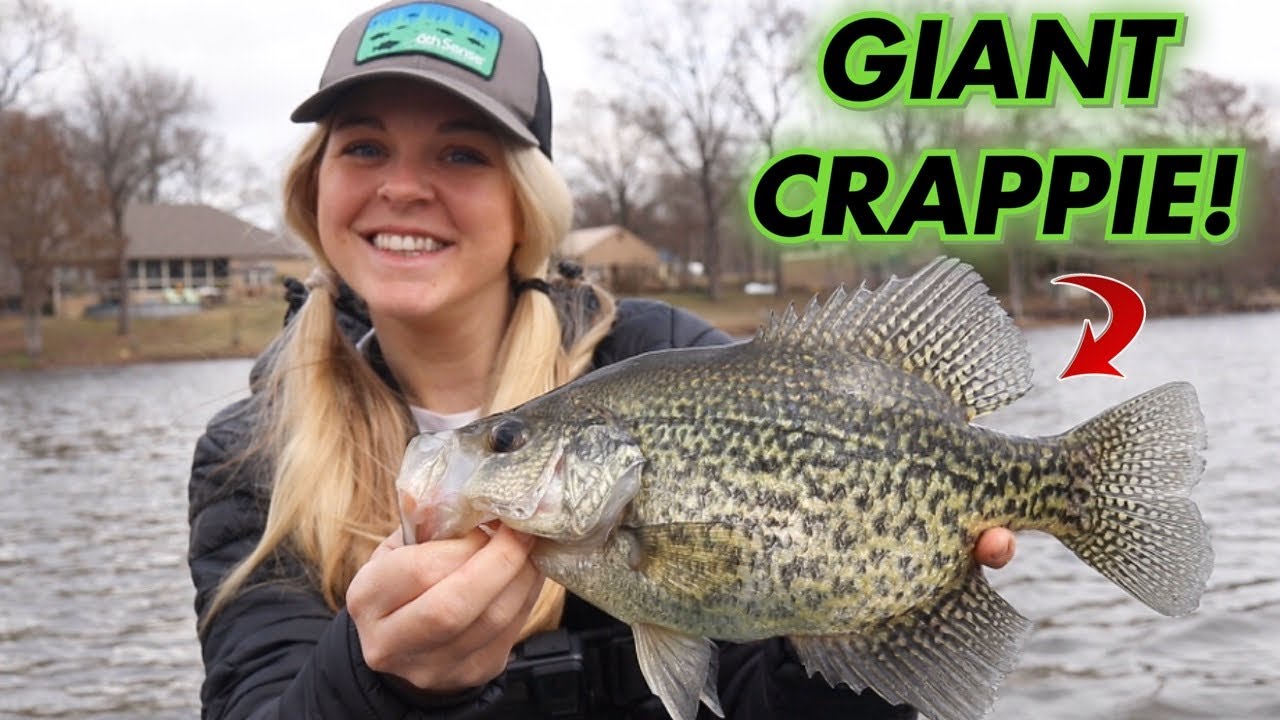 Caught a giant crappie using a bass lure