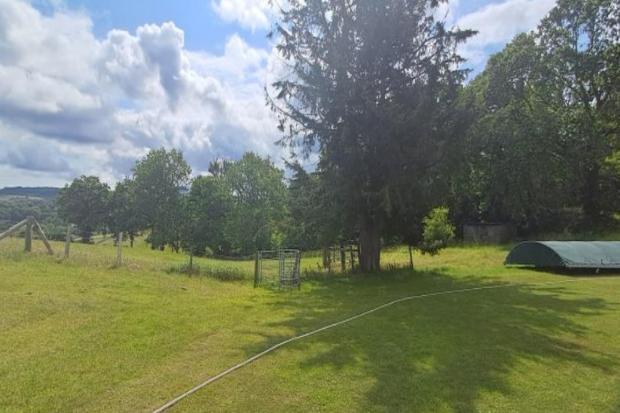 New 'forest' nursery near Somerset cricket club to open in early 2027