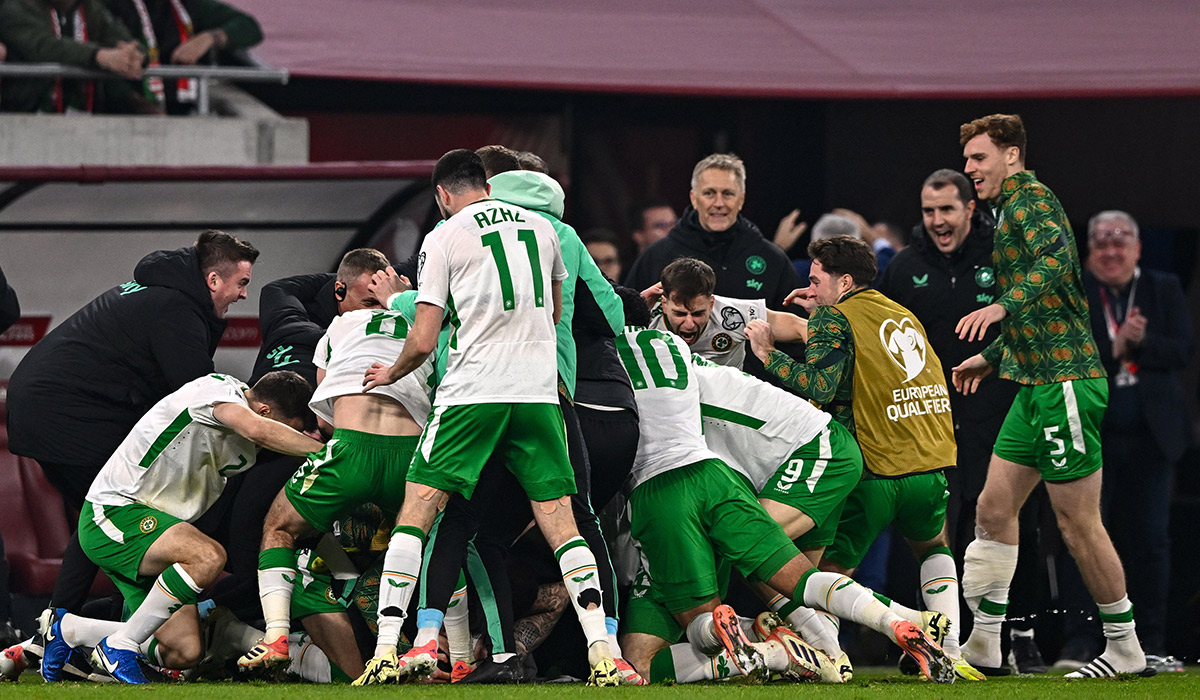 Ireland fans do double-take over 'Temu' version of star player