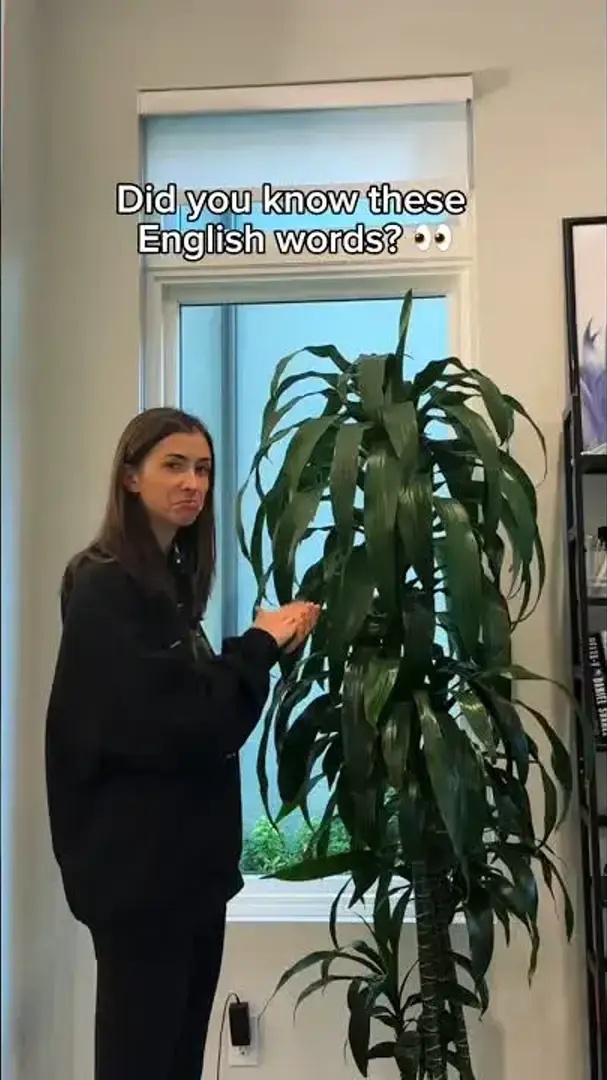 english vocabulary: thirsty vs water