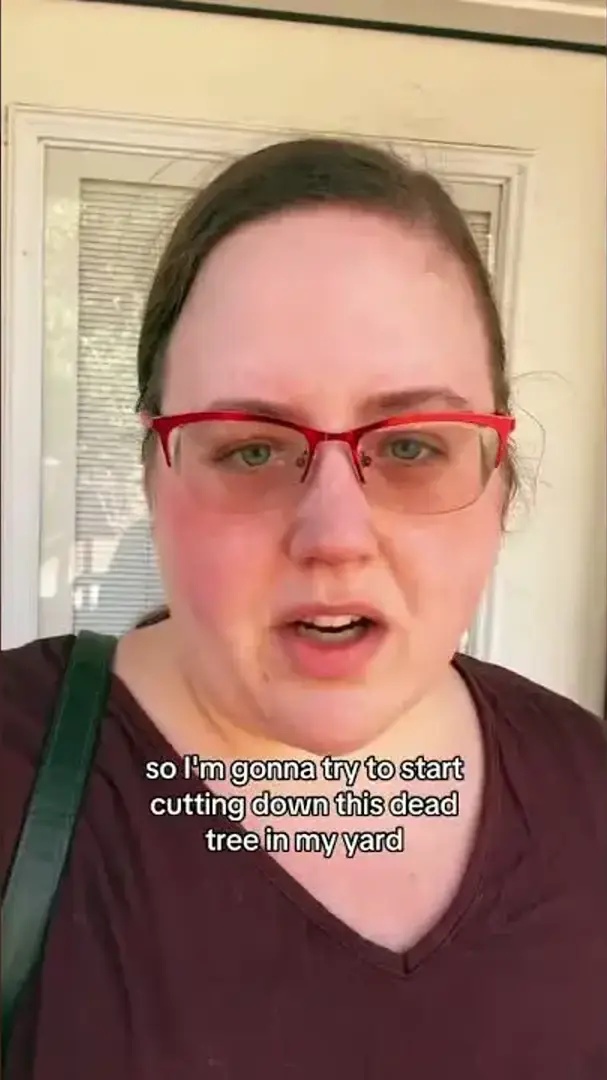 Hiring someone to cut down a dead tree