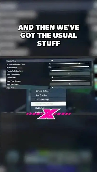 Project motor racing - HUD and camera settings!