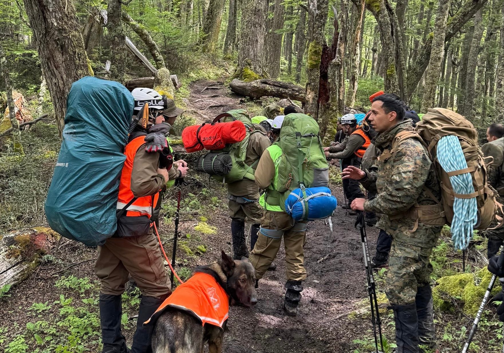 Torres del Paine: CONAF admite que no había personal donde murieron ...