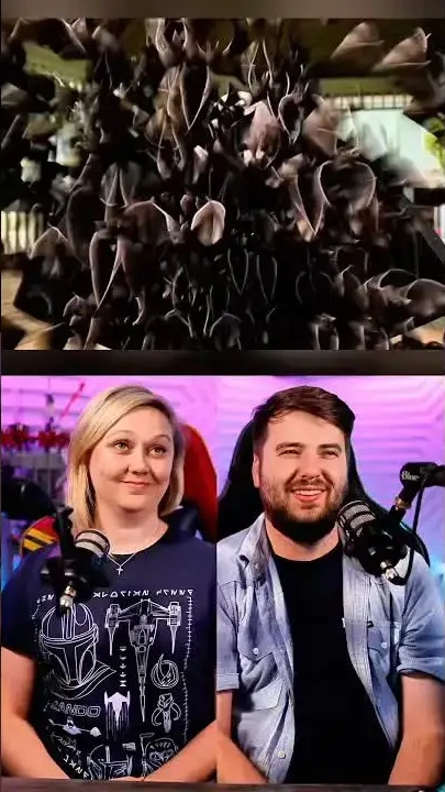 The bats!😱 The Addams Family reaction!