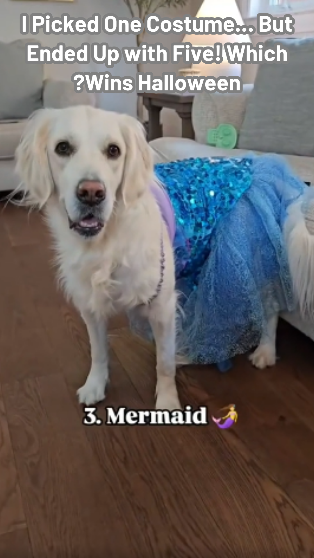 I Picked One Costume… But Ended Up with Five! Which Wins Halloween?