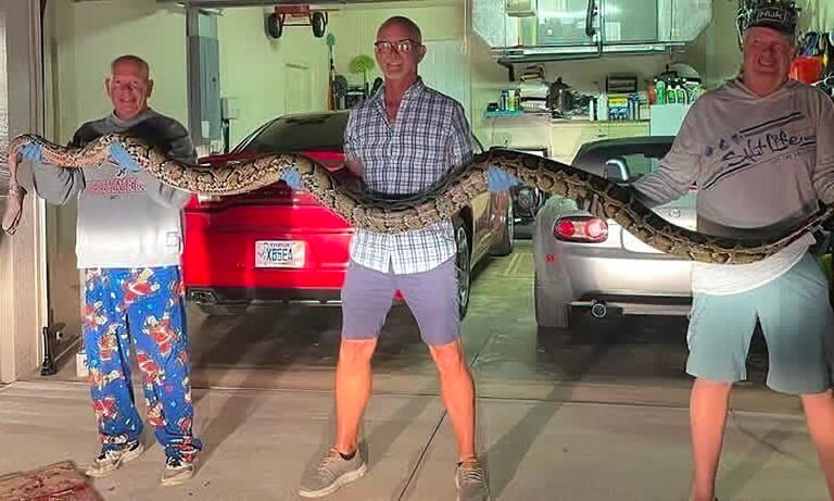 Florida man captures giant python, told by state to ‘put it in trash’