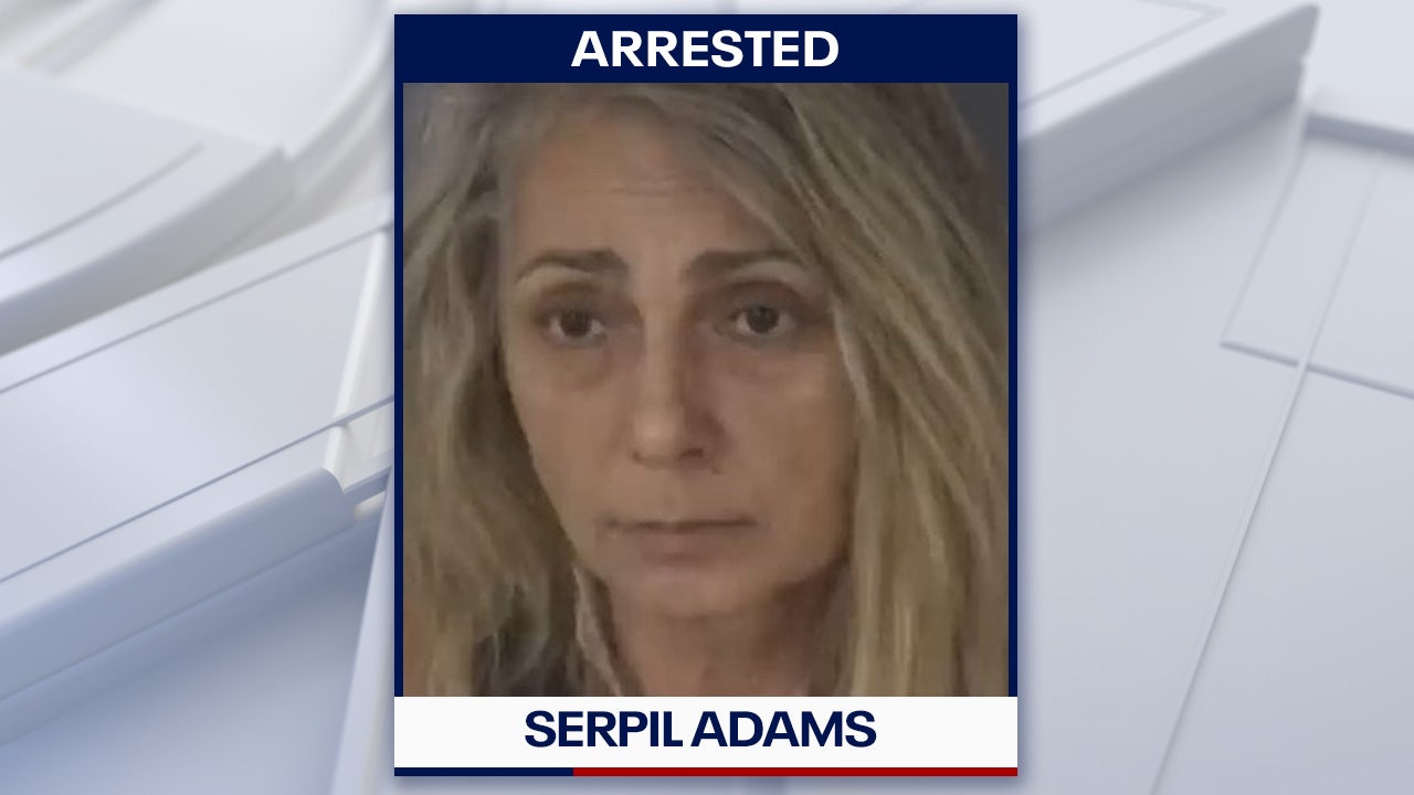 Florida woman accused of attacking estranged daughter stabbed by 8-year ...