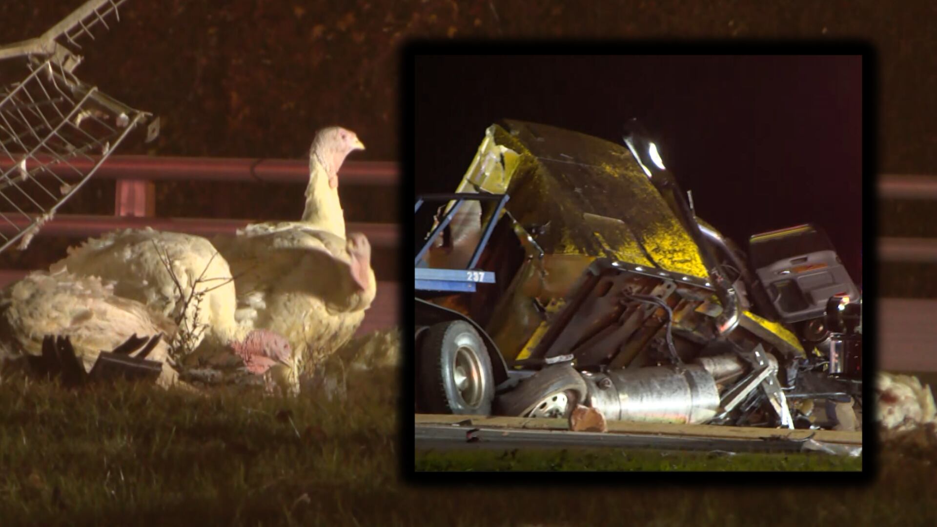 Man hurt after truck hauling live turkeys crashes on I-77 in Charlotte