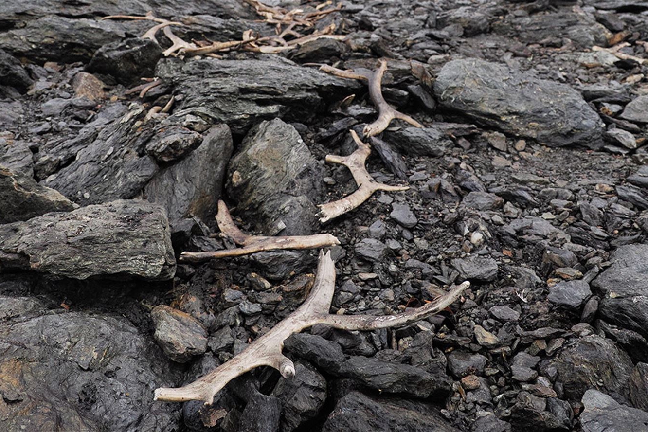 A Hiker Discovered a Trove of Artifacts in Norway's Melting Ice. The ...