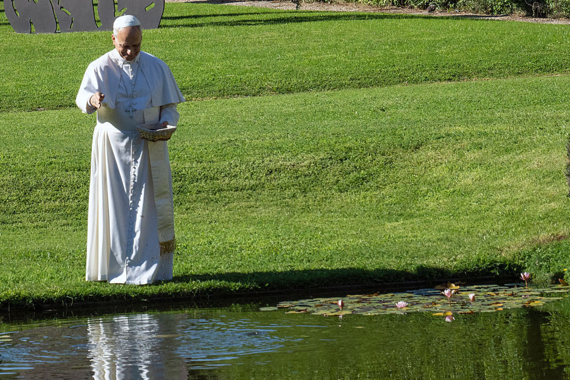 Is Pope Leo the first ‘green’ pope?